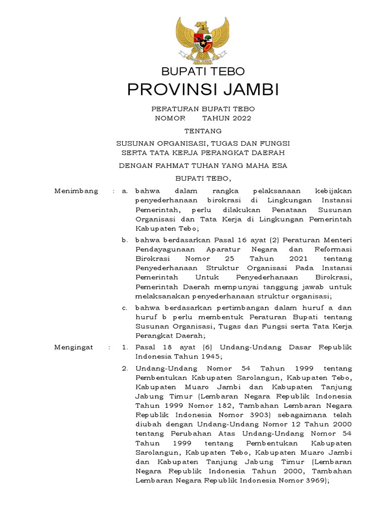 Perbup No. .... Tahun 2022 Sotk Perangkat Daerah Kab. Tebo | PDF Perbup No. .... Tahun 2022 Sotk Perangkat Daerah Kab. Tebo | PDF