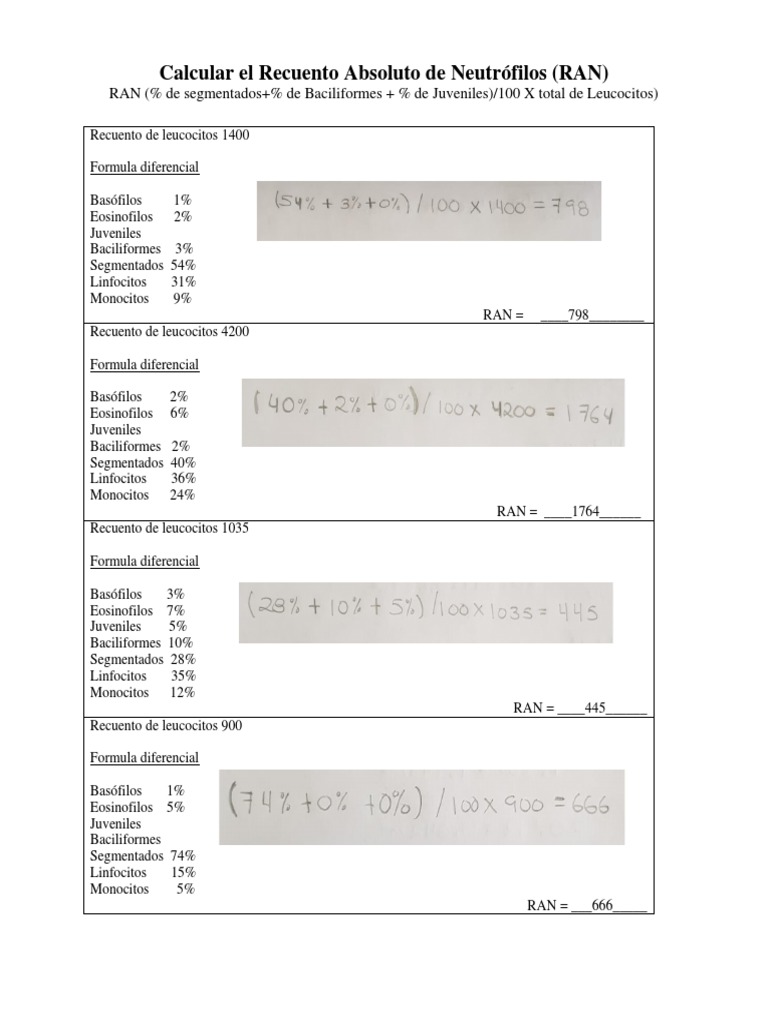 APHON LA Calcular RAN y SC_Pacheco_Pedro | PDF | Leucocito | Anatomia ...
