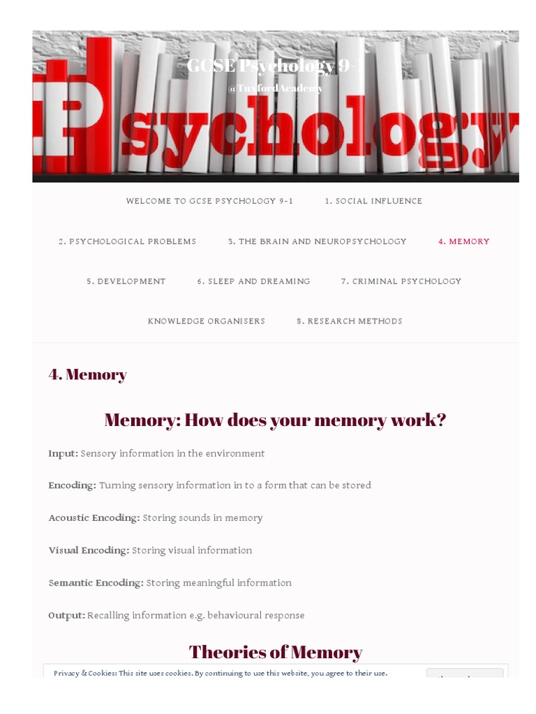 GCSE Memory Guide | PDF | Memory | Recall (Memory)