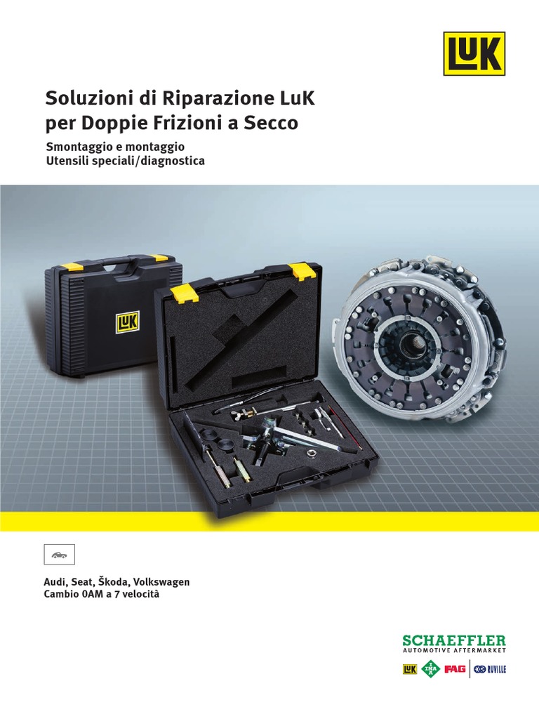 Istruzioni DSG Montaggio Luk | PDF