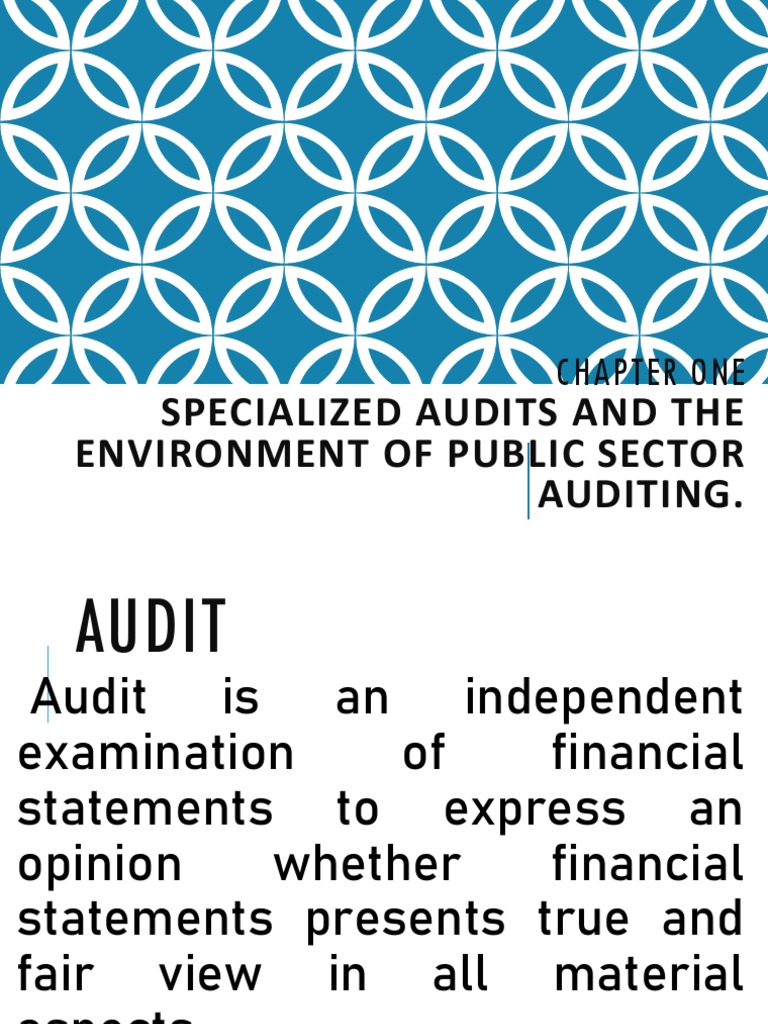 Types of Public Sector Audits Explained | PDF | Audit | Financial Audit