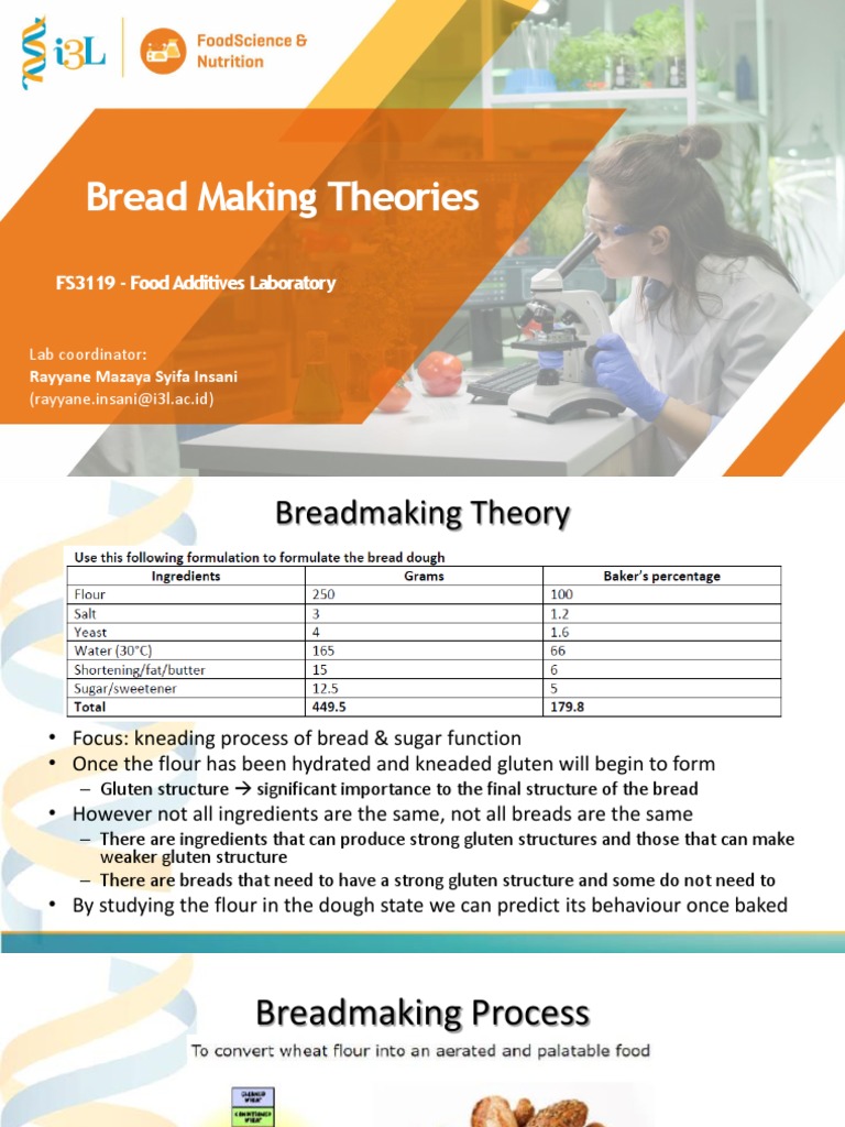 Bread Making Theories | PDF | Breads | Gluten