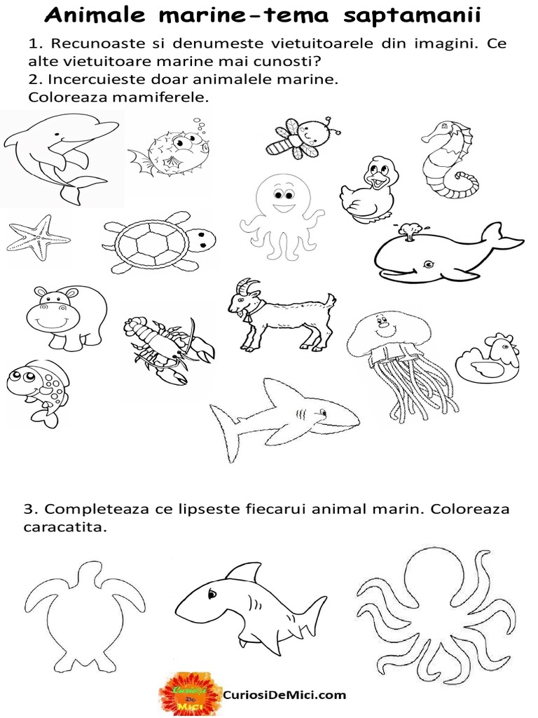 Fise Animale Marine | PDF