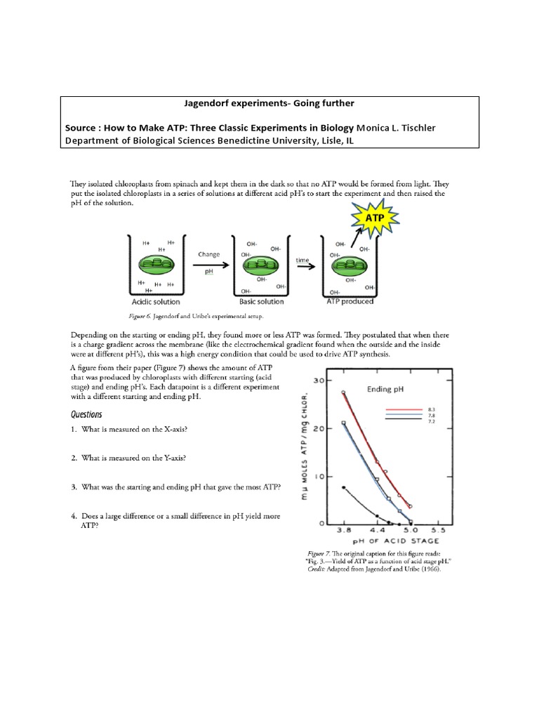 Jagendorf Experiments - 2 | PDF