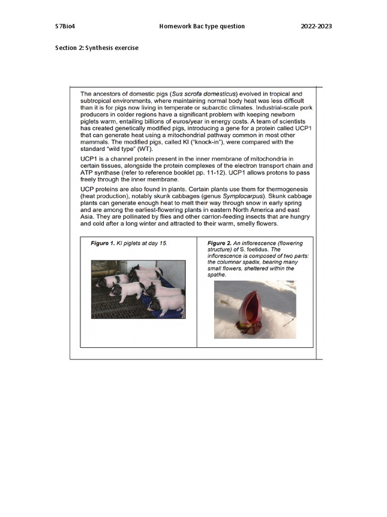 S7Bio4-Homework Synthesis Exercise - ATP Synthesis | PDF ...