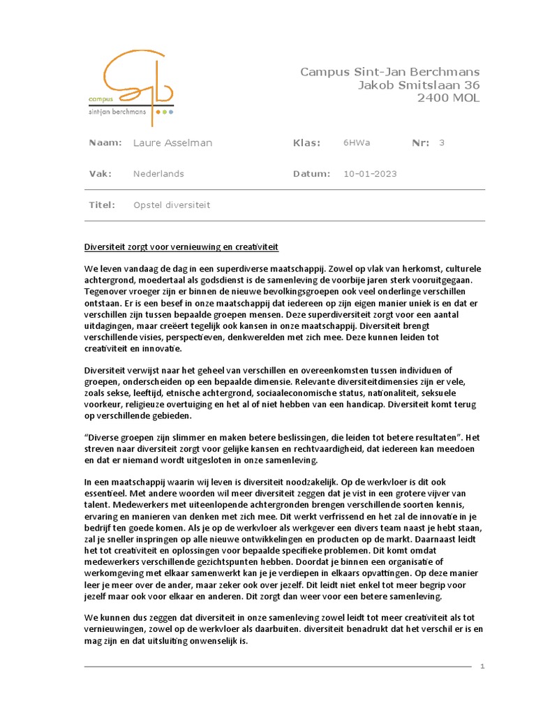 Nederlands Opstel | PDF