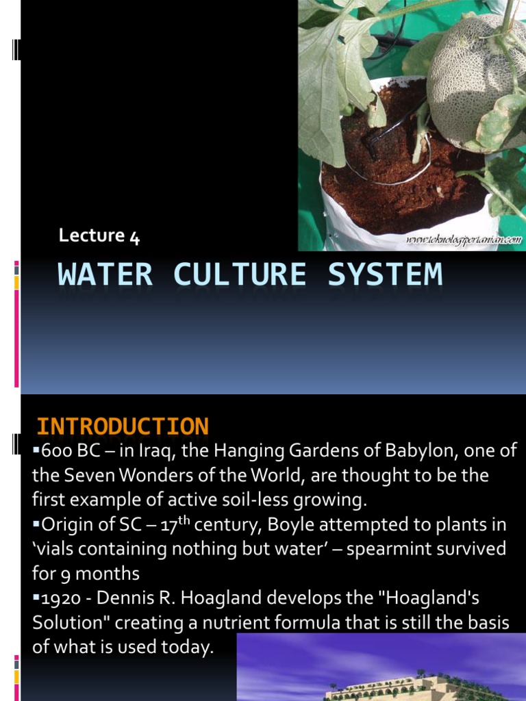 Lect4-Water Culture System | PDF | Hydroponics | Soil