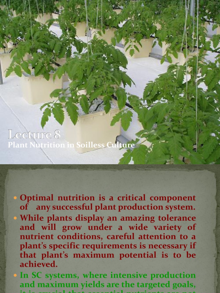 Lect8-Plant Nutrition in Soilless Culture | PDF | Plant Nutrition | Soil