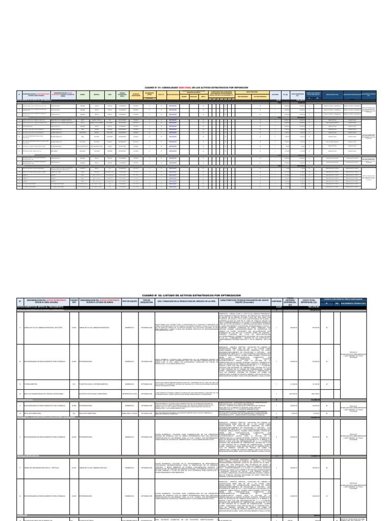 Documento técnico que propone la reposición de activos estratégicos del ...