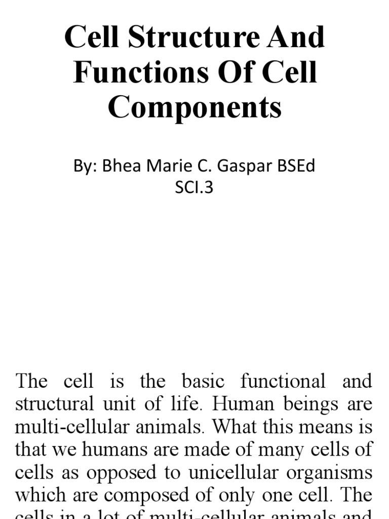 Cell Structure & Functions Guide | PDF | Cell (Biology) | Endoplasmic ...