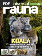 Anatomía y Fisiología de Koalas | PDF | Coala