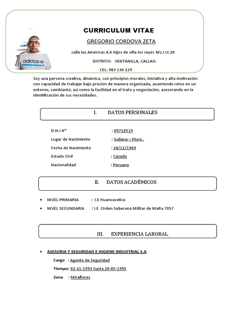 Curriculum Vitae | PDF