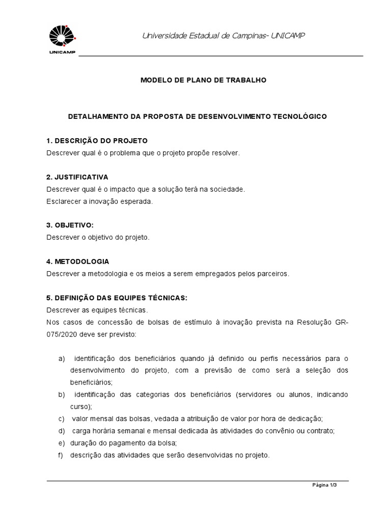 Modelo de Plano de Trabalho | PDF | Inovação