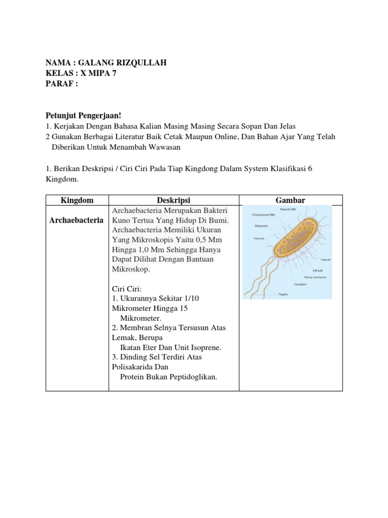 Klasifikasi 6 Kingdom Makhluk Hidup | PDF | Griya & Taman | Kesehatan ...