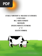 ACIDOSIS RUMINAL EN BOVINOS ESTEFANI P | PDF | Vacas | Sangre