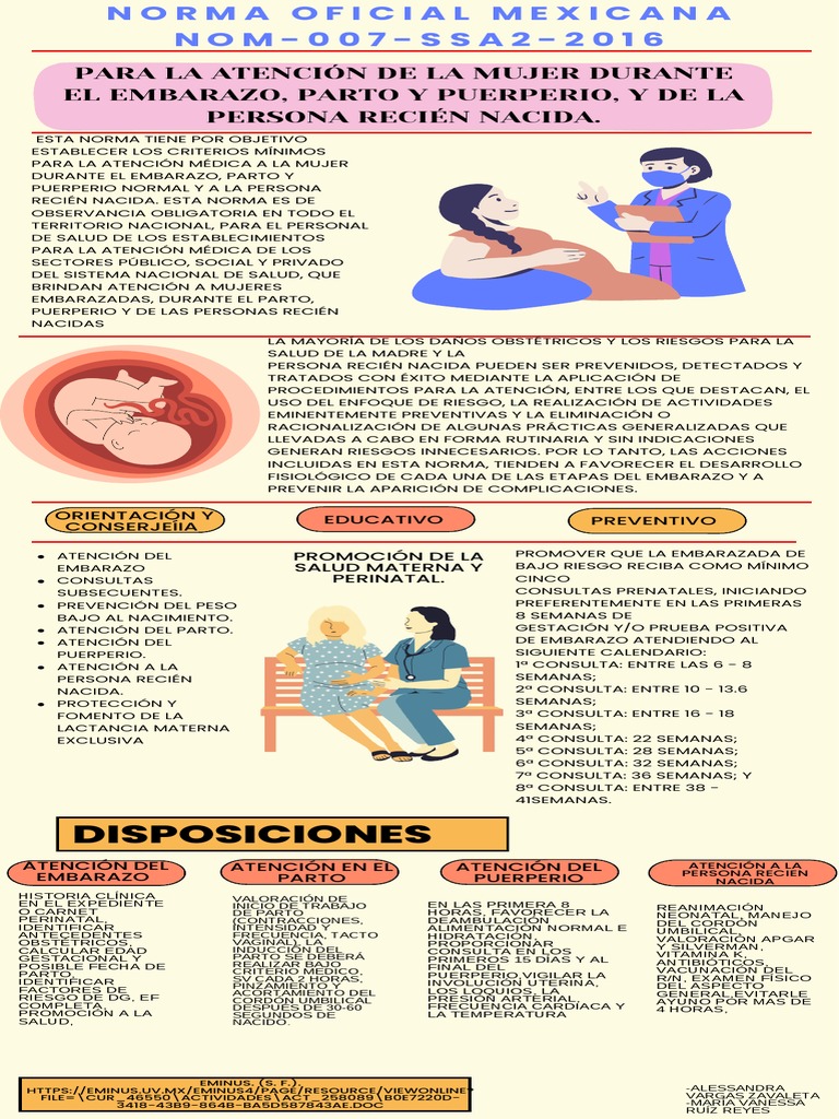 Atención Integral Materna y Neonatal | PDF