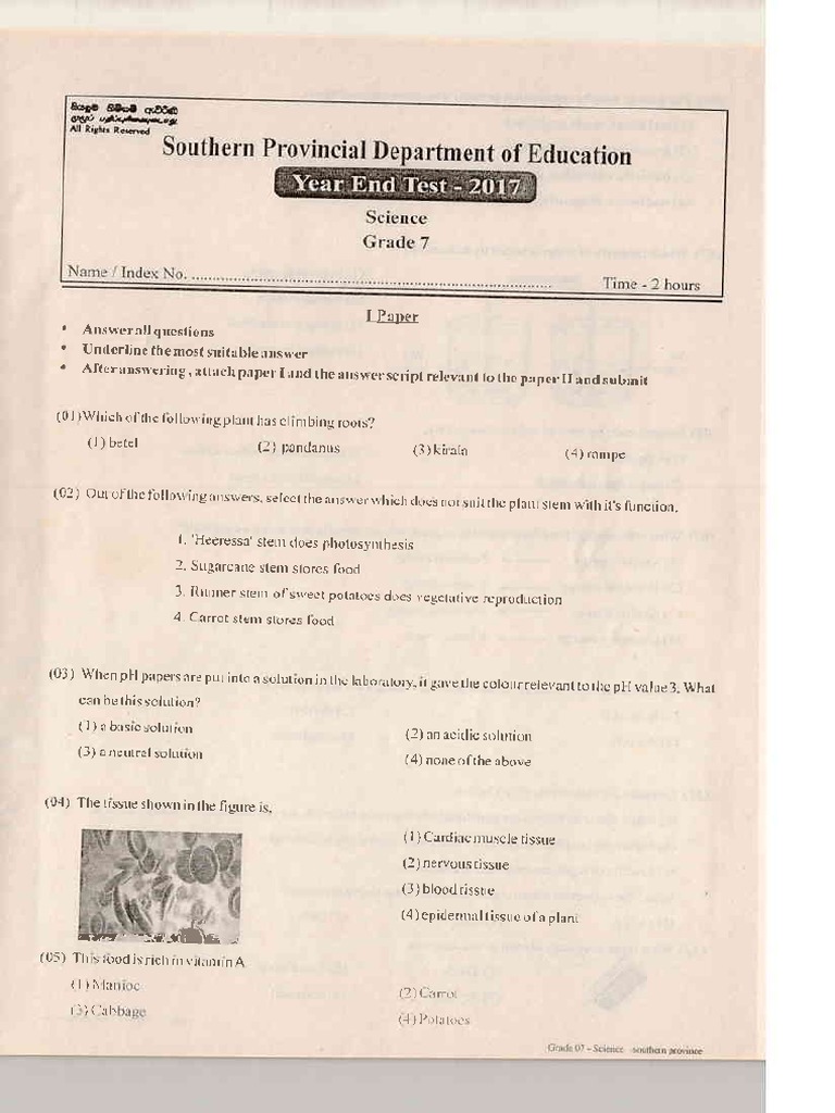 G7 - Third Term Examination (2017) - Southern Provincial Department of ...