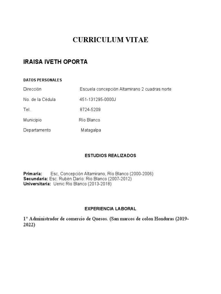 Curriculum Vitae Iris | PDF