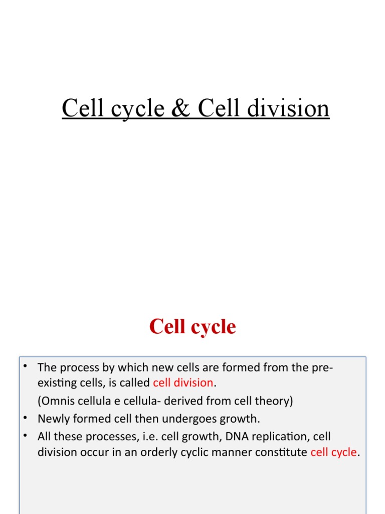 Cell Cycle & Cell Division | PDF | Meiosis | Mitosis