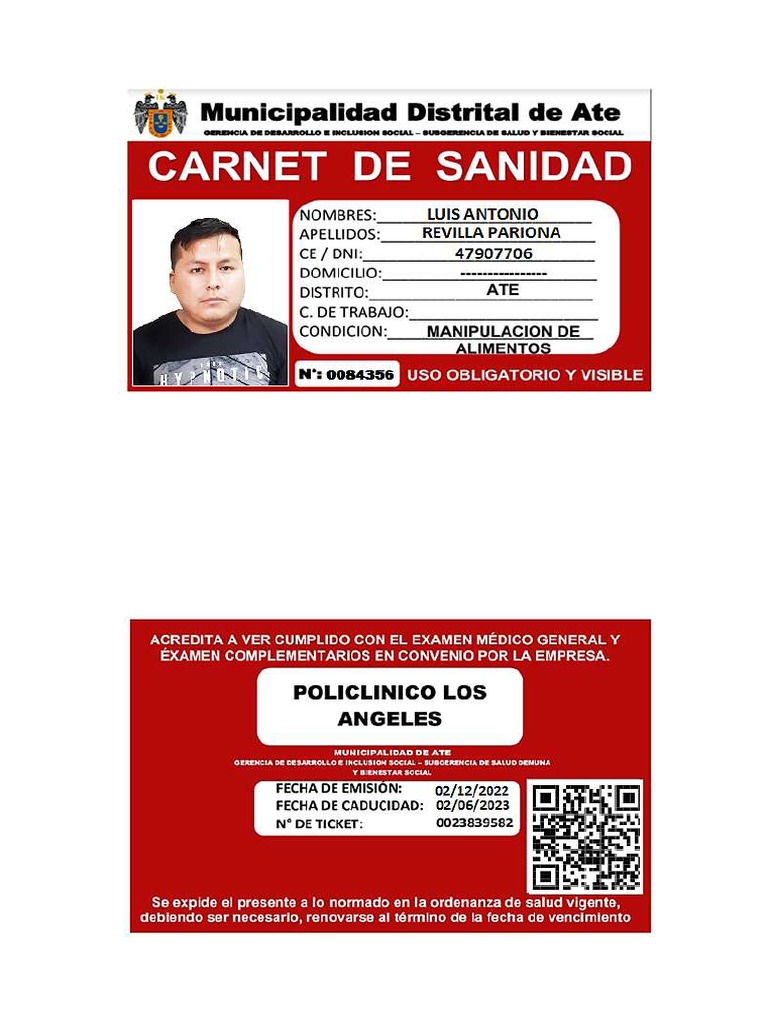 Formato Carnet Sanidad | PDF