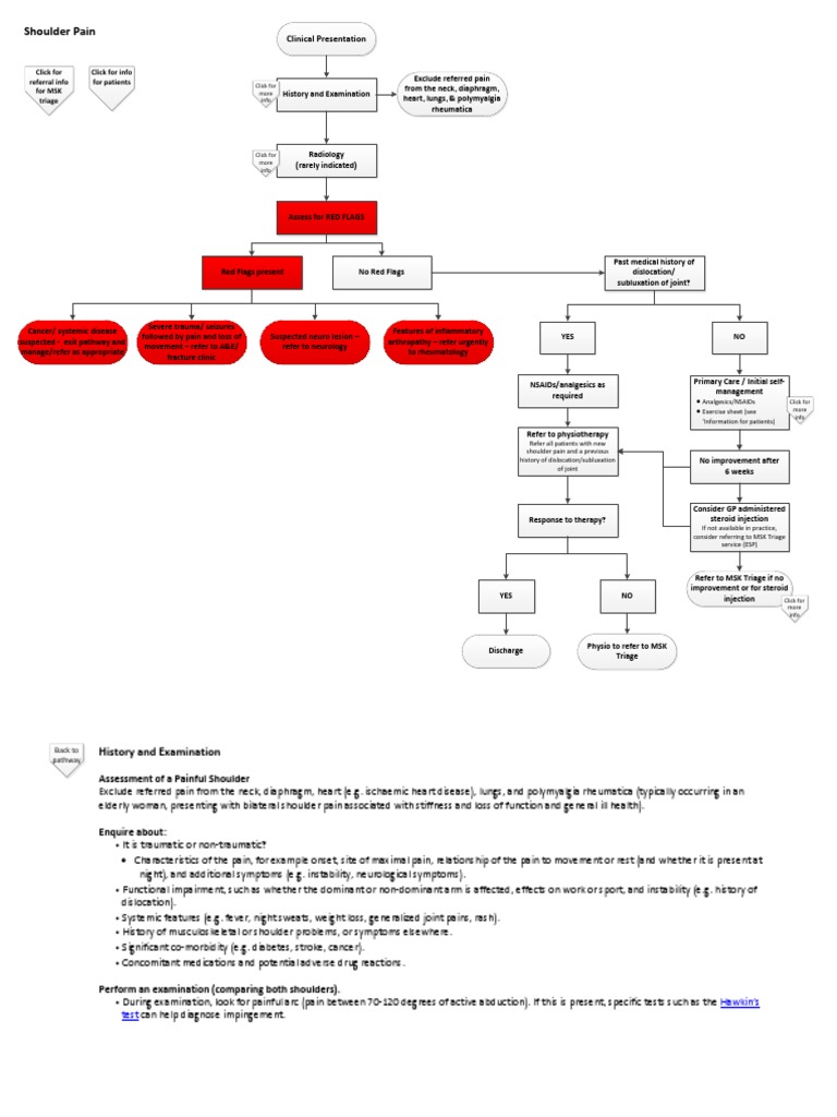 Shoulder Pain v2 | PDF | Physical Therapy | Shoulder