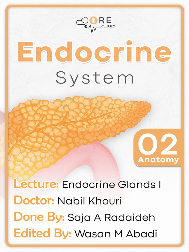 Anatomy 01 Pdf Pituitary Gland Endocrine System