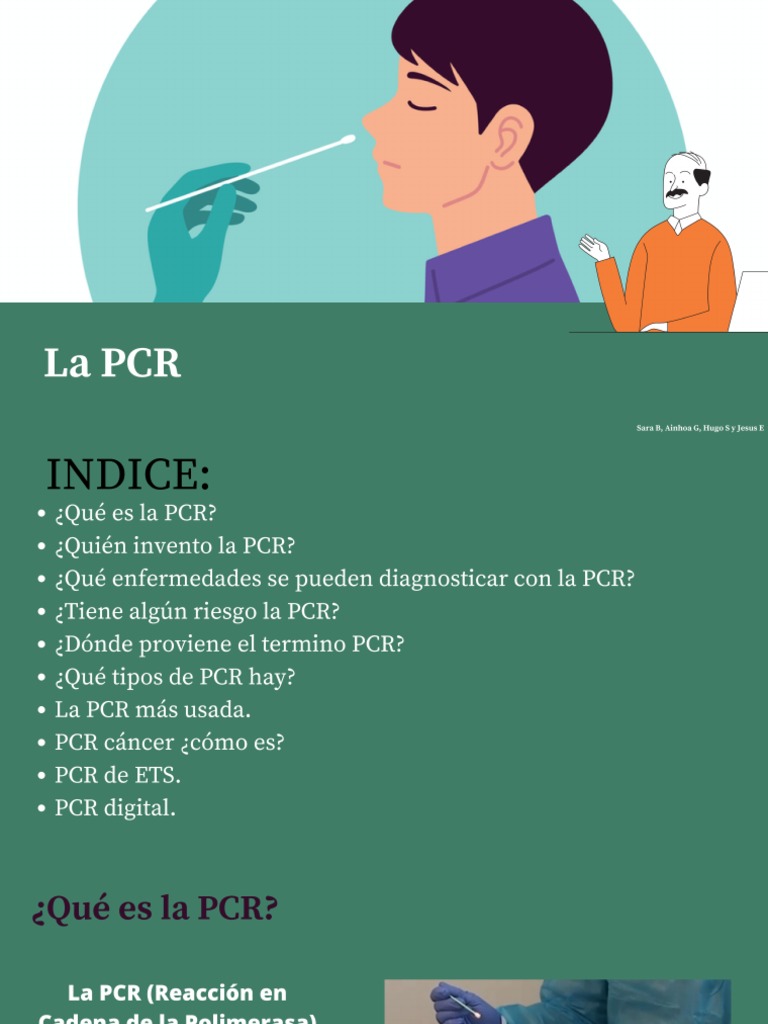La PCR - Presentación | PDF