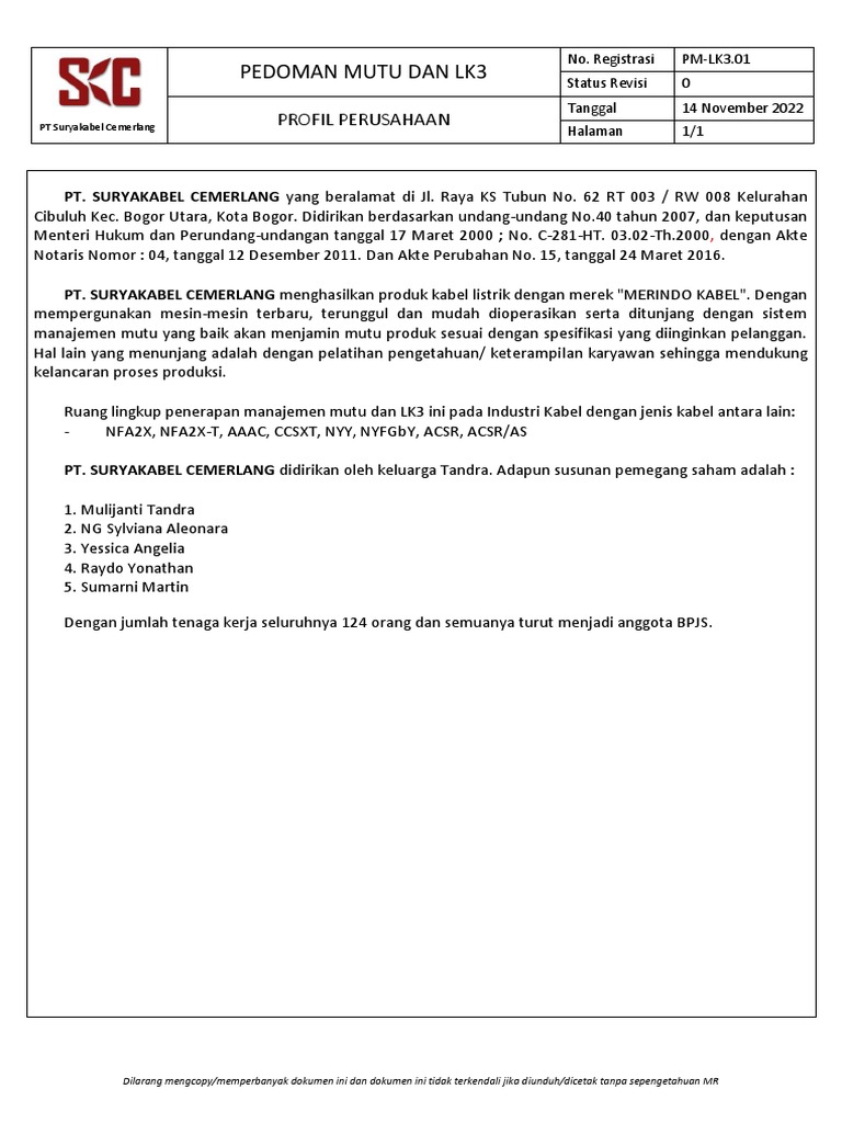 04 - PM-LK3 01 Profil Perusahaan - Rev. 10 | PDF