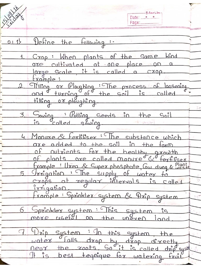8TH Science Extra Questions | PDF