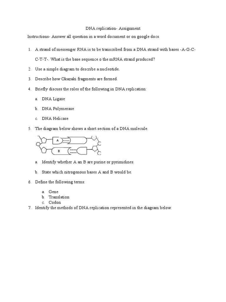DNA Replication Assignment | PDF