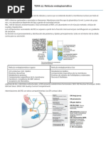 La Célula - Tráfico Vesicular Proteínas COP-I y COP-II | PDF | Retículo ...