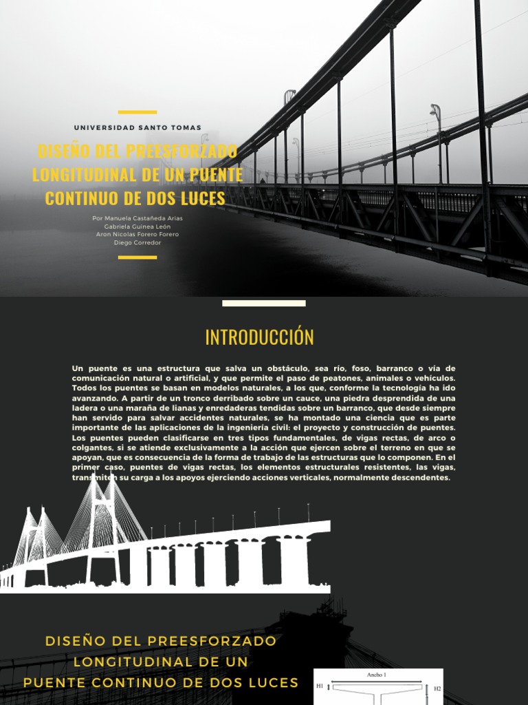 Diseño Del Preesforzado Longitudinal De Un Puente Continuo De Dos Luces