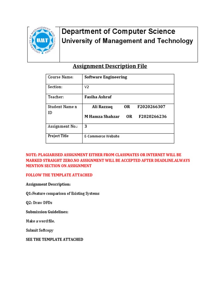 SE Assignment 3 E-Commerce Website | PDF | E Commerce | Information Technology Management
