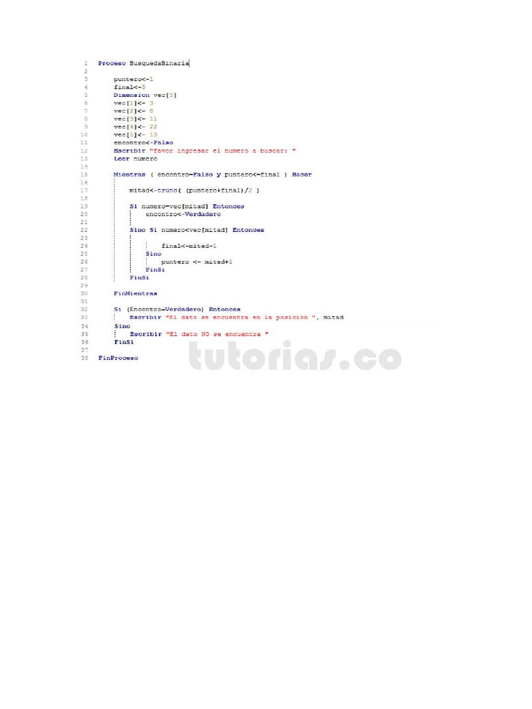 Practica de Programación (Secuencial y Binario) | PDF