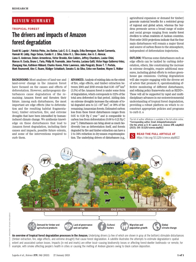 The Drivers and Impacts of Amazon | PDF | Deforestation | Habitat ...