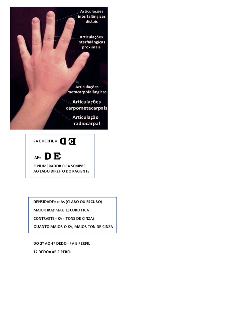 Pa e Perfil Dos Dedos | PDF