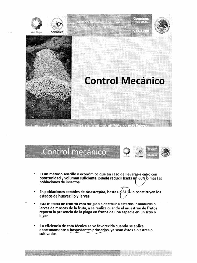 P12 Control Mecanico | PDF