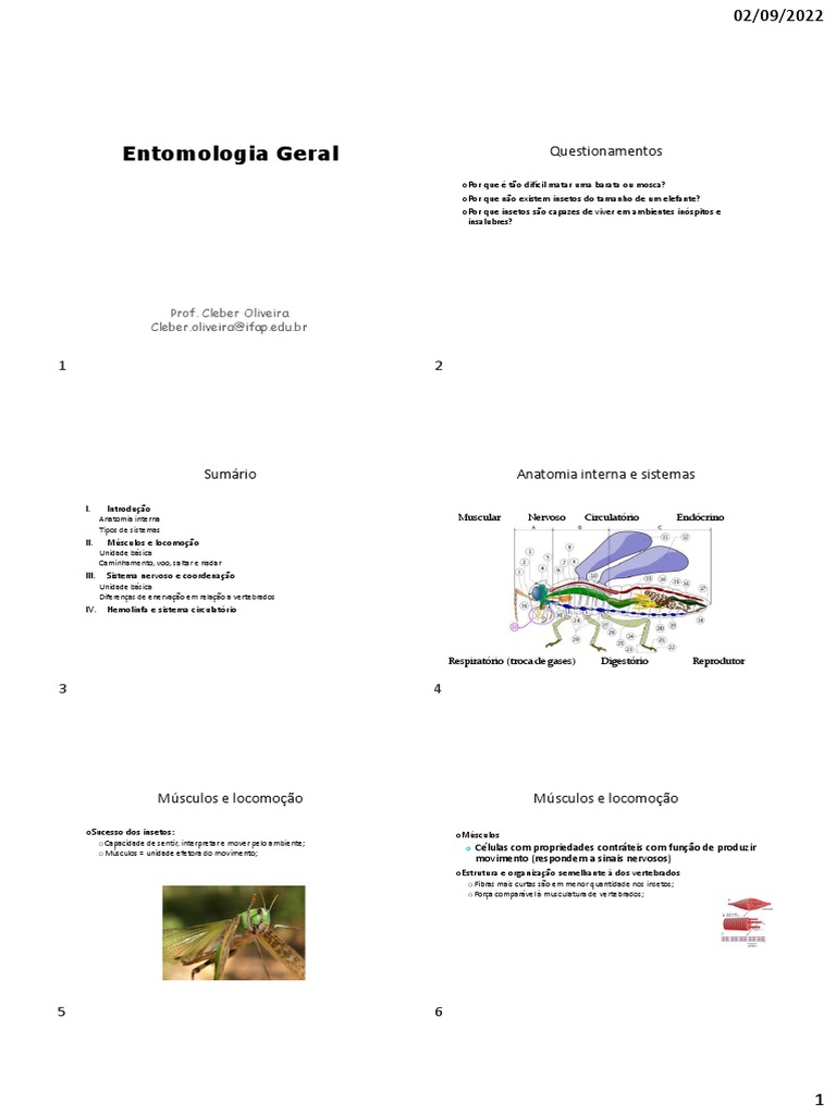 Fisiologia dos Insetos: Locomoção e Sistemas | PDF | Insetos | Músculo ...
