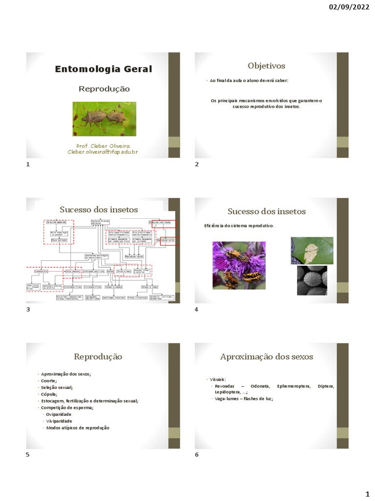Reprodução de Insetos: Mecanismos e Tipos | PDF | Sexo | Insetos