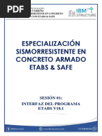 Manual de Uso Etabs Modulo I | PDF | Diseño | Acero