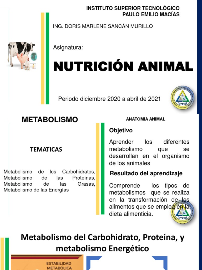 Clase 3 Nutrición Animal 12-07-2021 | PDF | Metabolismo | Digestión