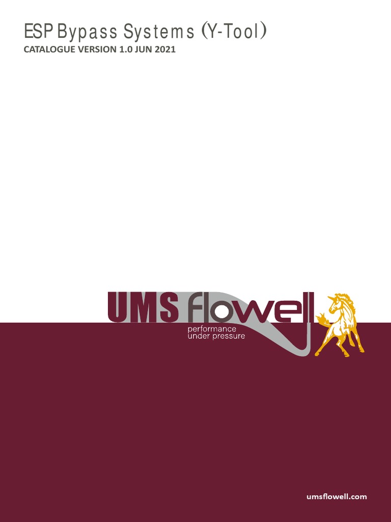 Y-Tool Bypass Systems Catalogue: Specifications and Equipment for ESP ...