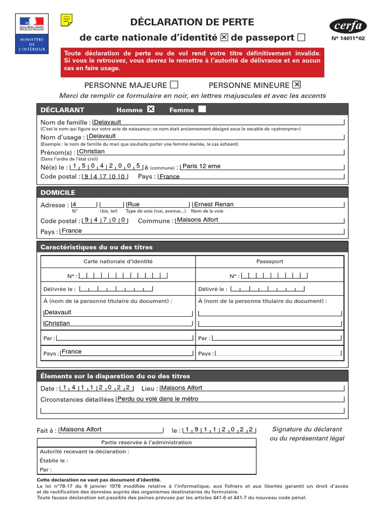 Cerfa: Déclaration de Perte de Carte Nationale D'identité de Passeport | PDF | Gouvernement et ...