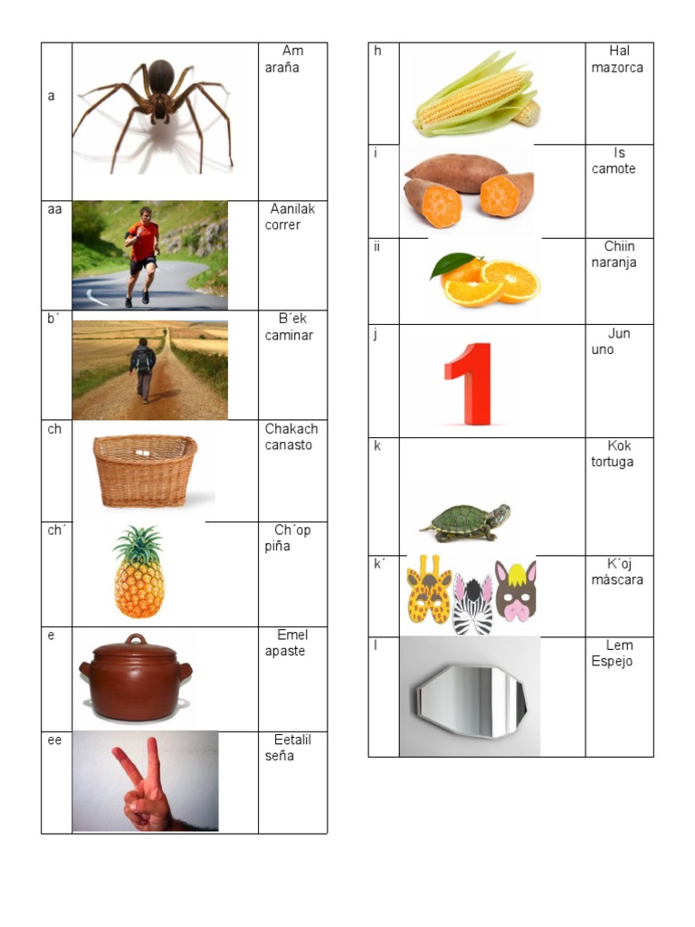 El Abecedario Con Imagenes en Qeqchi | PDF