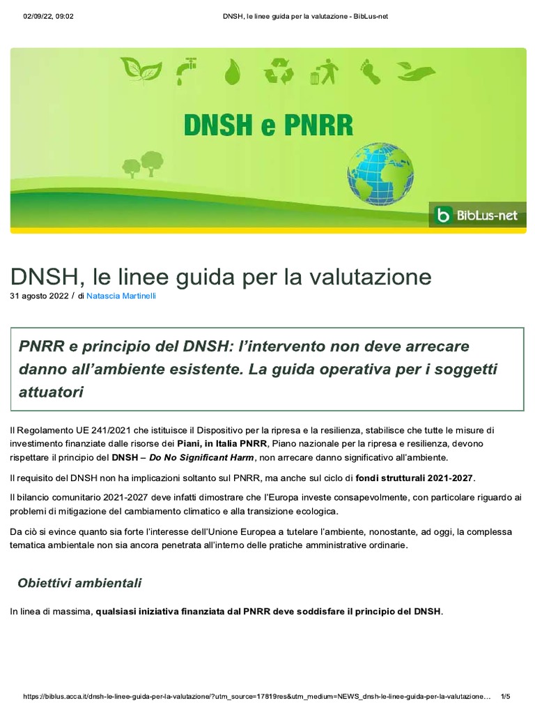 DNSH, Le Linee Guida Per La Valutazione - BibLus-net | PDF