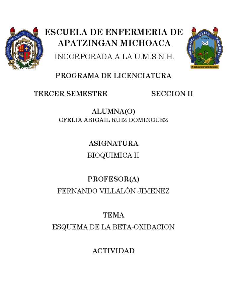 Esquema de La Beta-Oxidacion | PDF Esquema de La Beta-Oxidacion | PDF