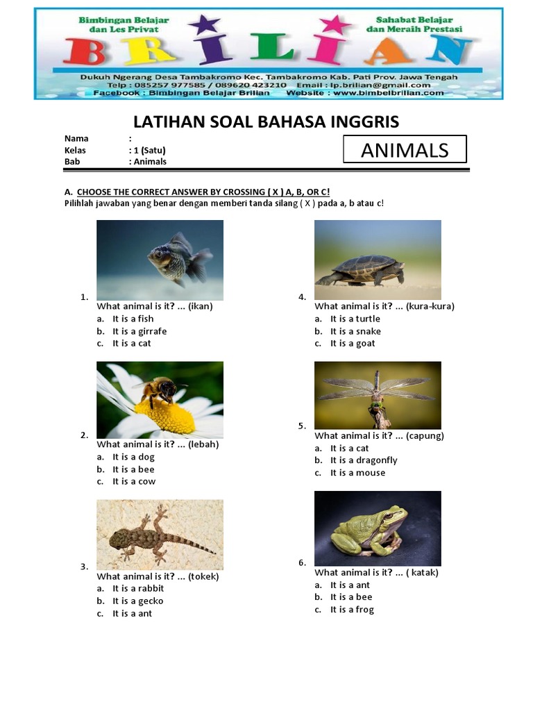 Soal Bahasa Inggris Kelas 1 SD Bab Hewan Animal - Pilihan Ganda | PDF