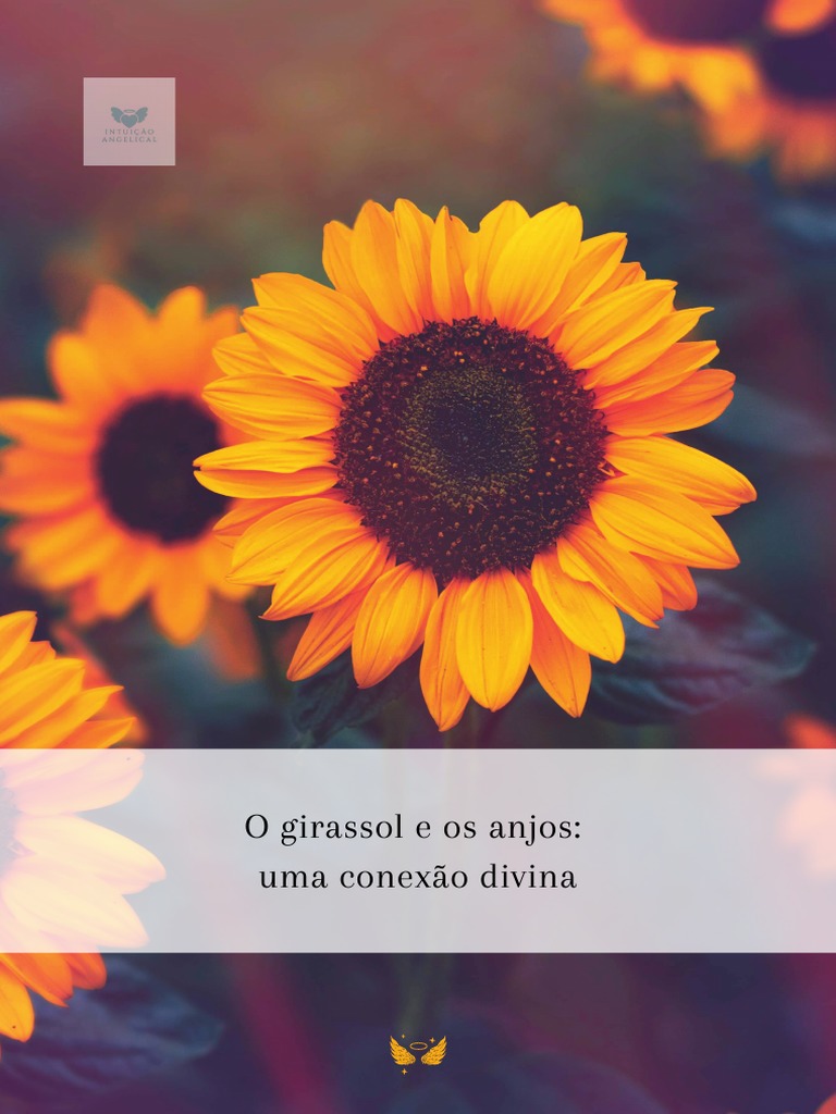 O Girassol e Os Anjos Uma Conexão Divina | PDF