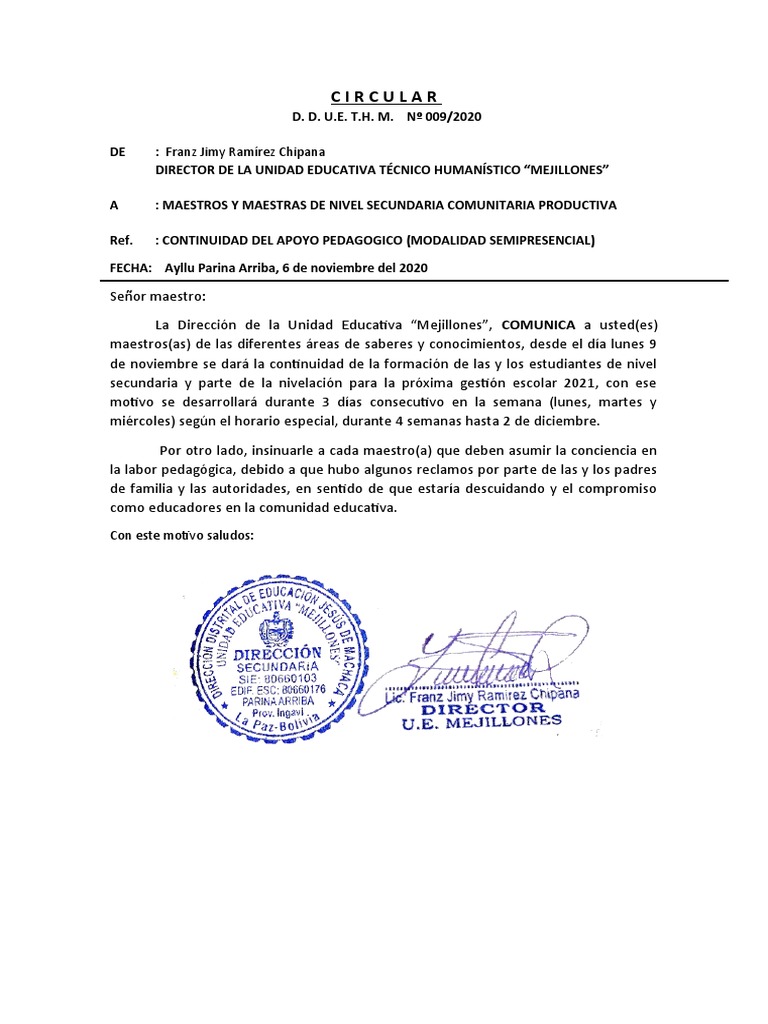 Continuidad del Apoyo Pedagógico 2020 | PDF