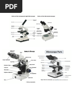 Microscope Parts and Functions Explained | PDF | Microscope | Optical ...